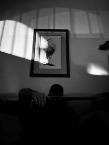 Music | Hatless Jack