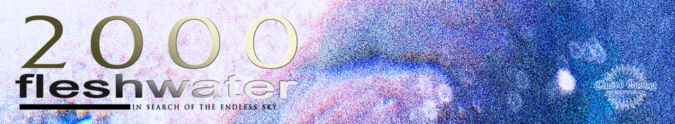 2000: In Search Of The Endless Sky | fleshwater