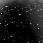 Common Blue | Warpaint