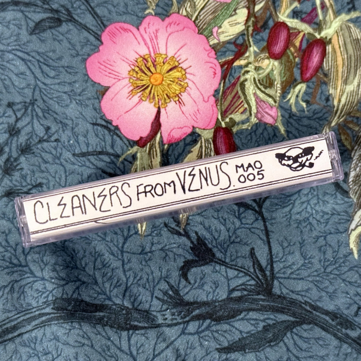 Midnight Cleaners | The Cleaners From Venus