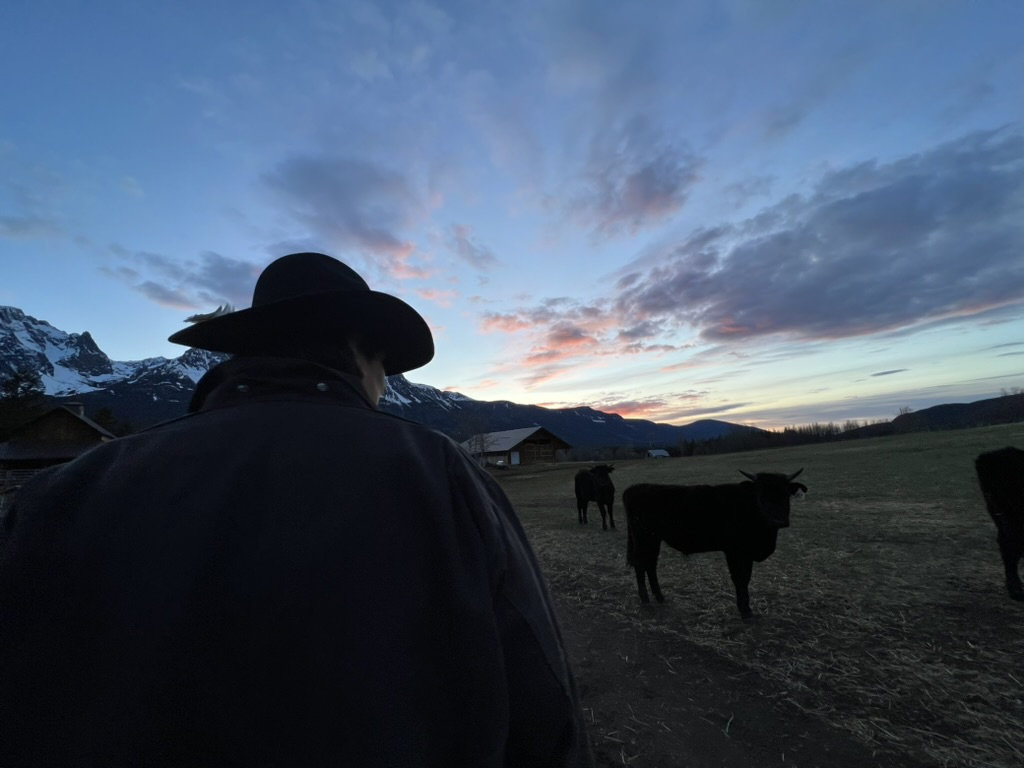 Hell Of A Daydream | Richard Inman