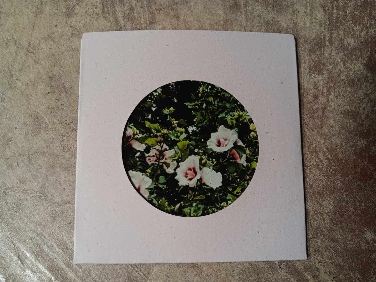 Ianthine Fruits | Coppice Halifax