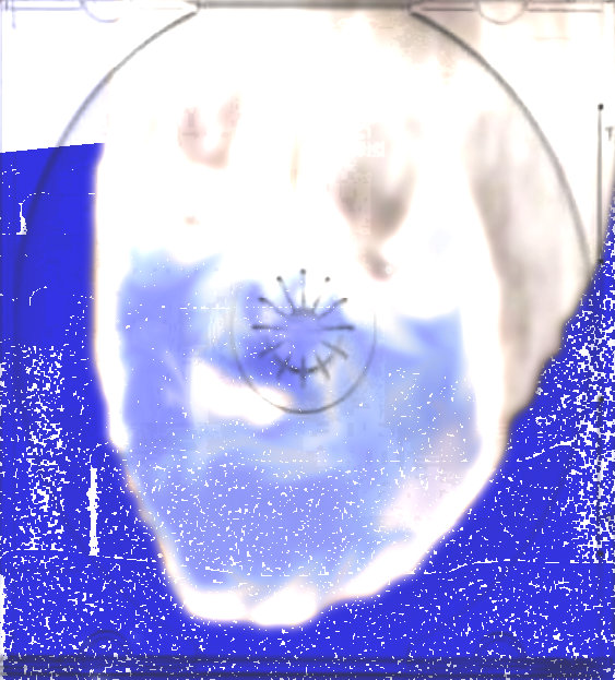 flesh dream engine | iivybeaar | embaarrasingarchiive