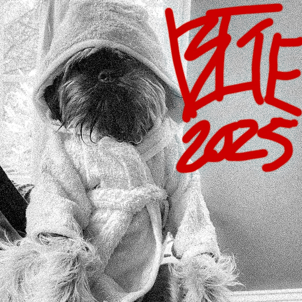 Demo '25 | Bite