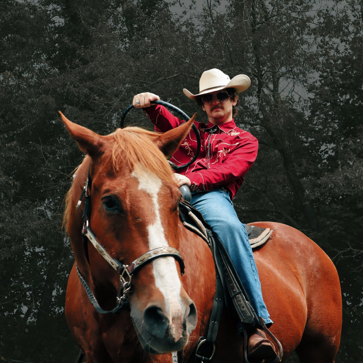 Jimsonweed | Ricky Chilton