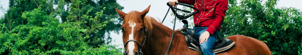 HORSEPOWER | Ricky Chilton