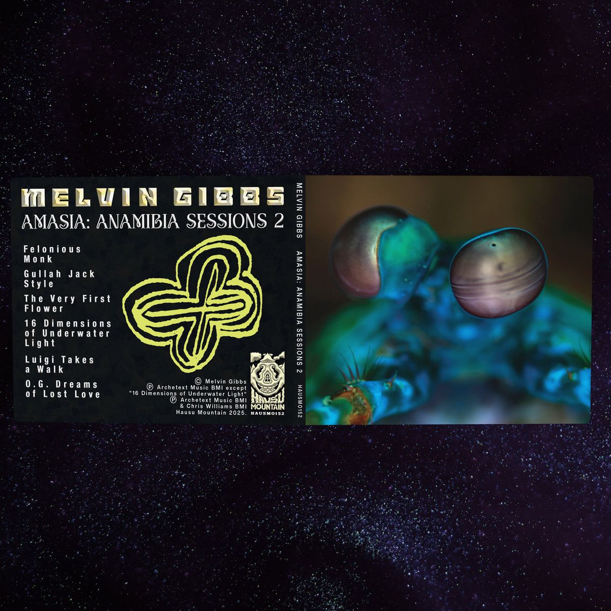 Gullah Jack Style | Melvin Gibbs