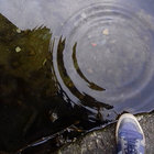 Formations | Solar Fields