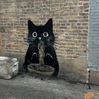 Songs No One Will Hear (24-bit HD audio) | Arjen Anthony Lucassen ...