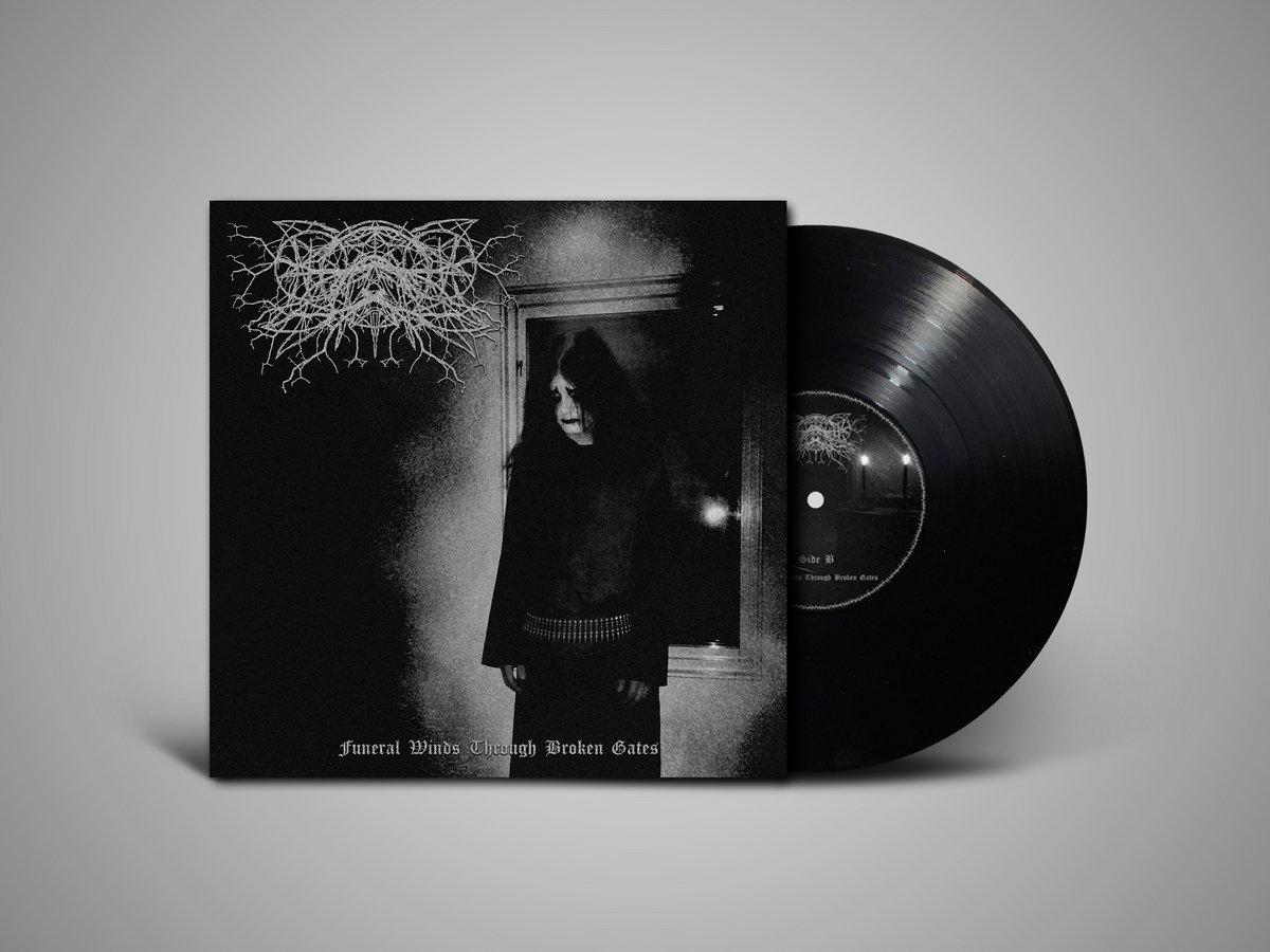 s3l3's collection | Bandcamp