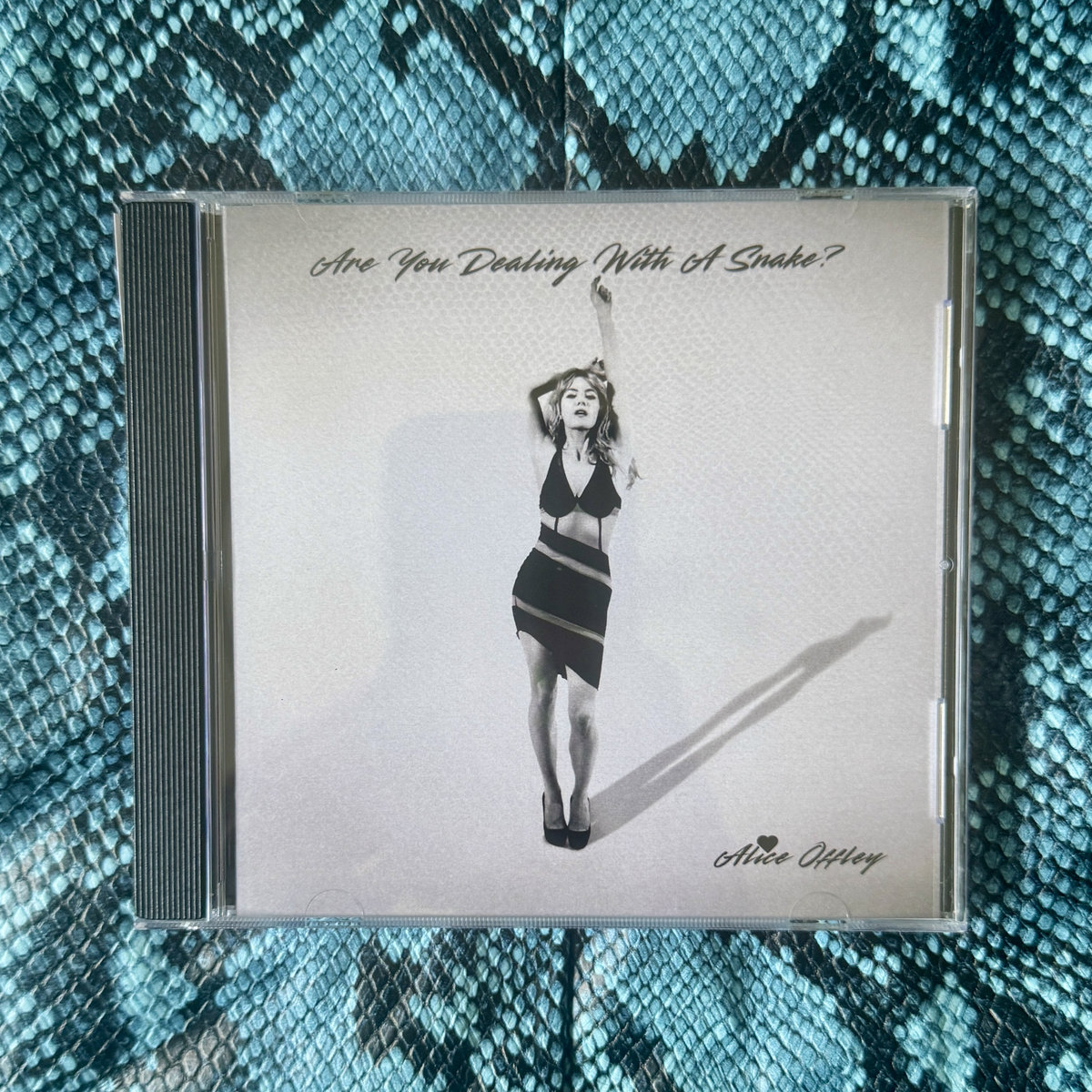 Are You Dealing With A Snake? | Alice Offley