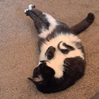 A Human's Touch (feat. McKenna Rae) | TWRP