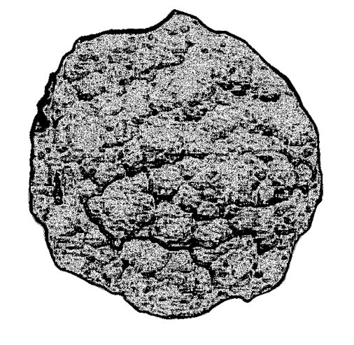 Split with Gxfxe | XwXwX, gxfxe | xwxwx