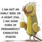 Program 893 | Mitch Murder