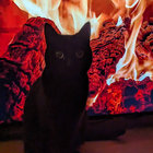 Balrog | King Buffalo