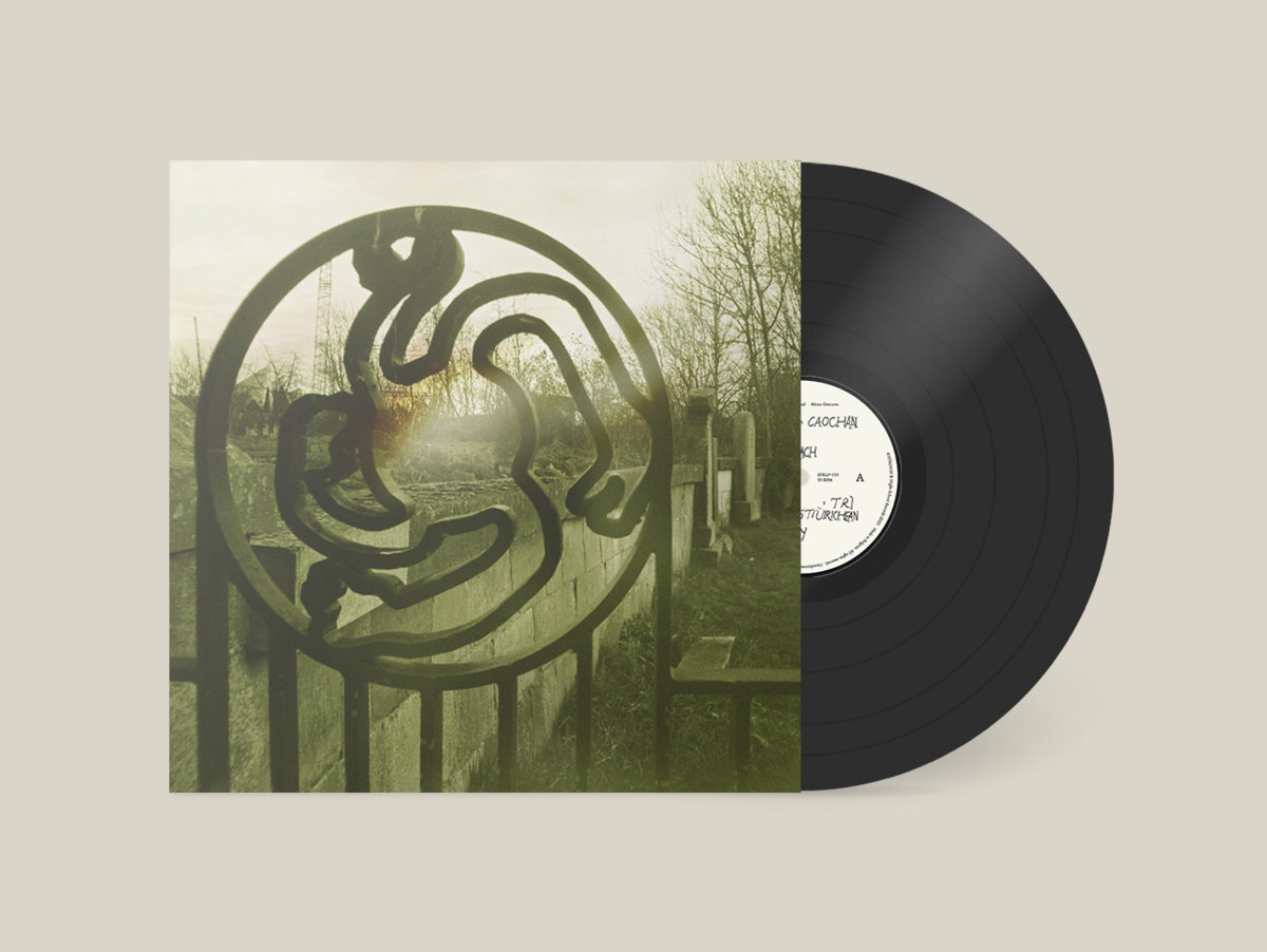 Minor Gestures | Susannah Stark & Band | Susannah Stark