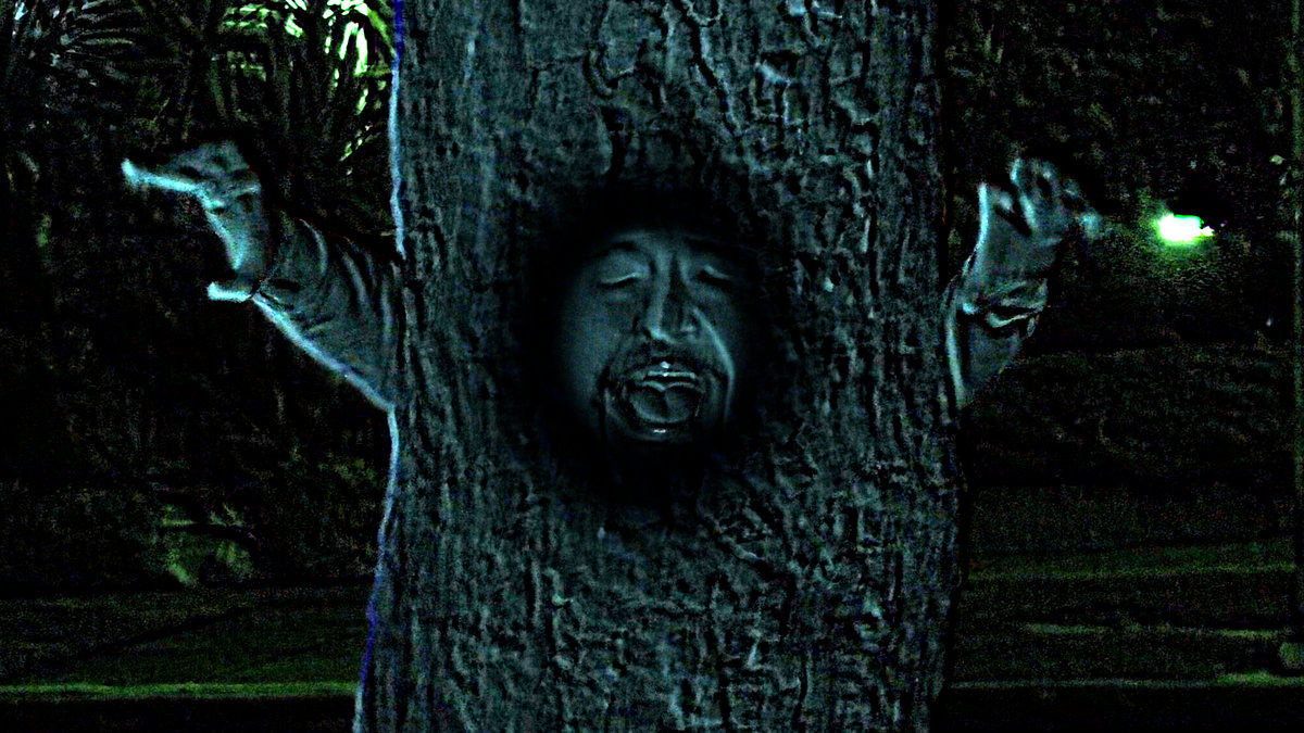 When one door closes, another door closes | Pulgas and Salami Rose Joe ...