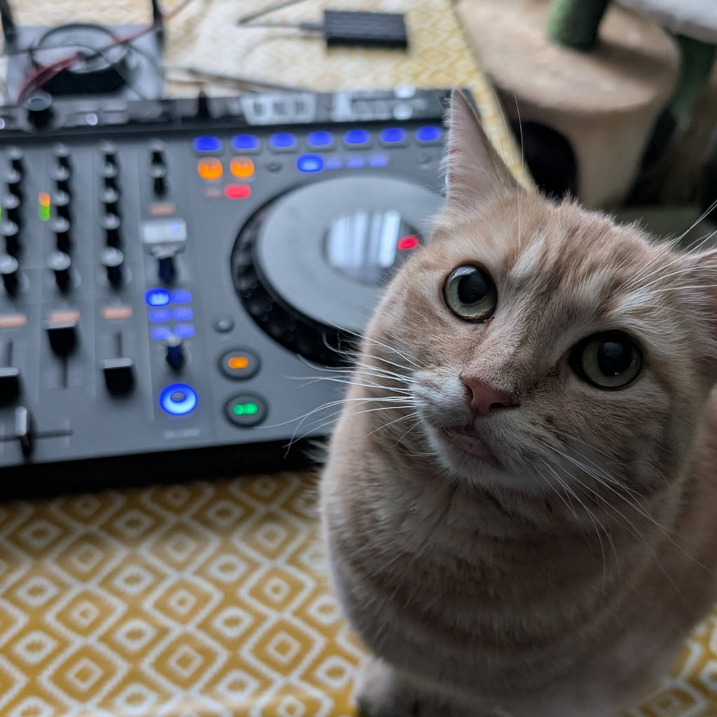 duncb82's collection | Bandcamp