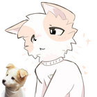 GOODNIGHT HYPNOPOMP | STOMACH BOOK