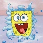 Wintersaga | Wind Rose