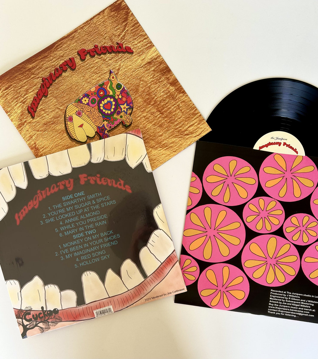 Imaginary Friends (Album 2024) | The Junipers