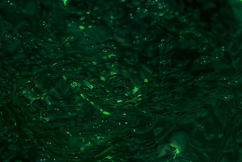 Inbred Metalhead / Got Milk? | Viscera / Foul Bowel Growl | Gutted Pulp ...