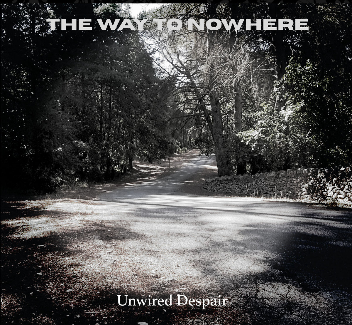 Unwired Despair | The Way To Nowhere | SwissDarkNights Label