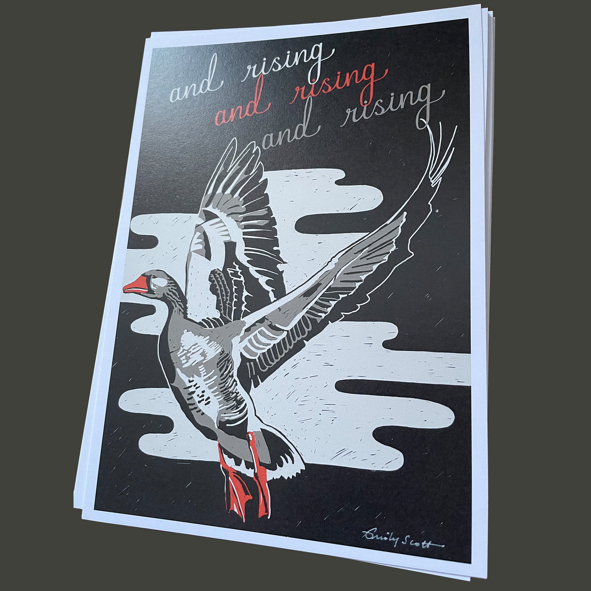 Yay, Human Digital EP & Four Artwork Prints | Chrysanths