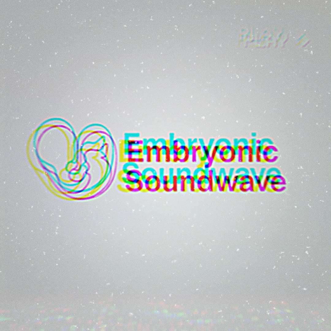 Hogt I Tak- Acid Voices Stems | Hogt I Tak | Embryonic Soundwave