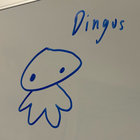 Manning Fireworks | MJ Lenderman