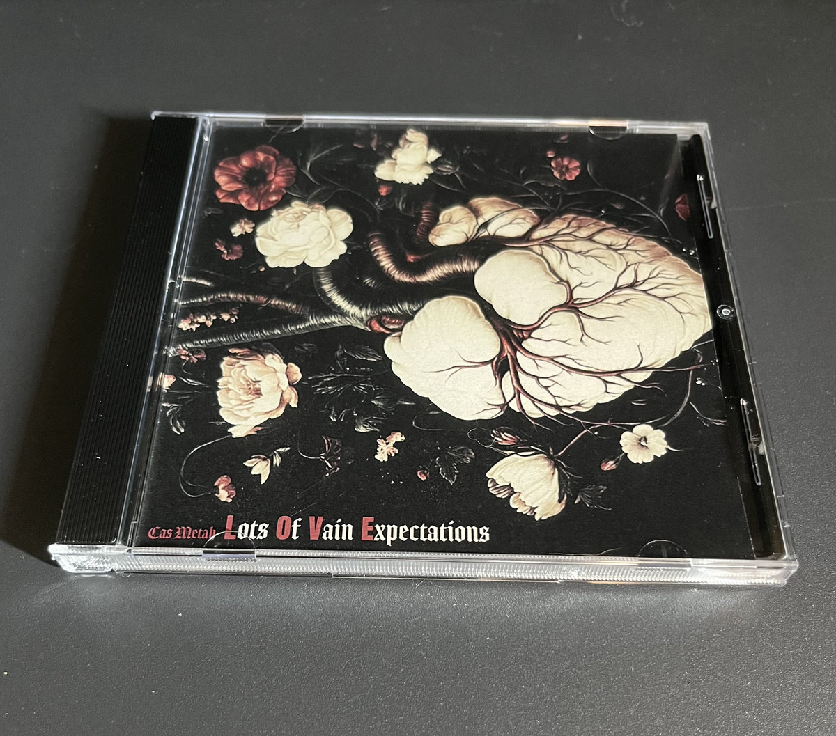 Lots Of Vain Expectations | Cas Metah | Scribbling Idiots