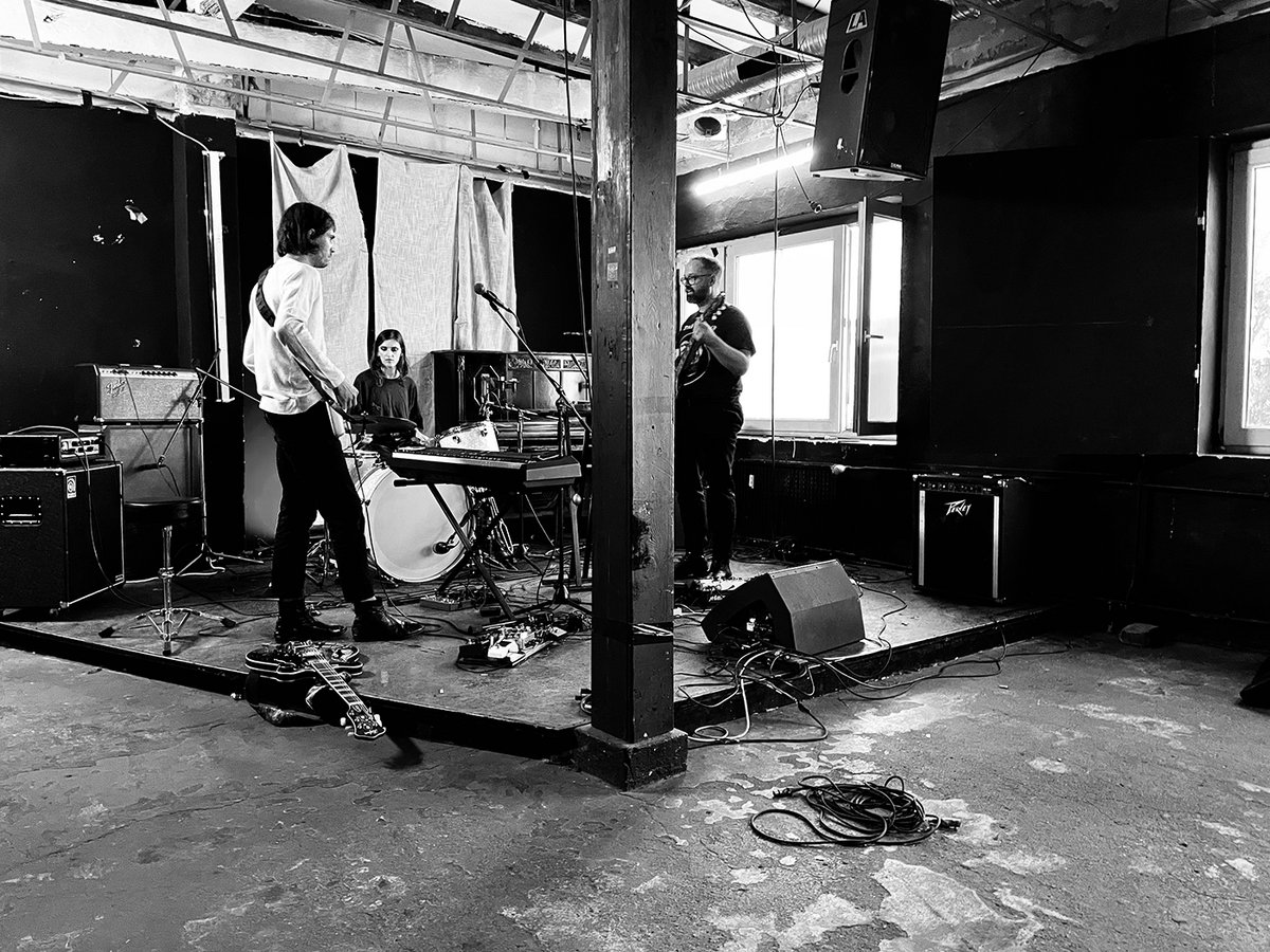 Orchestra Of Trees | THE IMAGE FACTORY