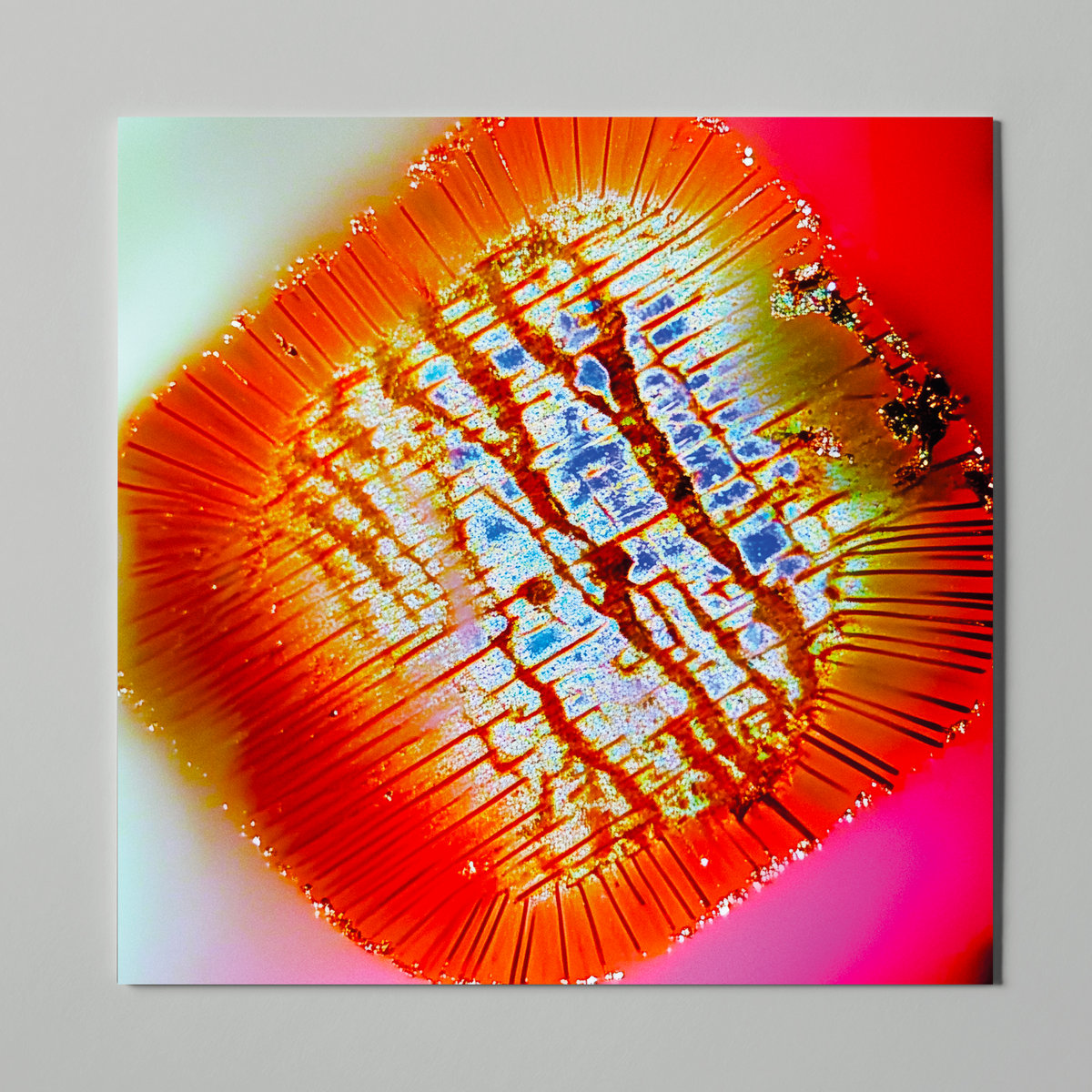 MTY013 - "Nothing stands still" | Mac Declos