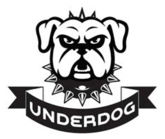 Live at 4-pint Dave's | Underdog Band