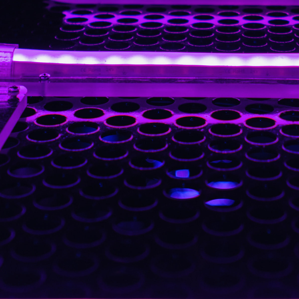 Life At The Molecular Level | Black Project Alpha