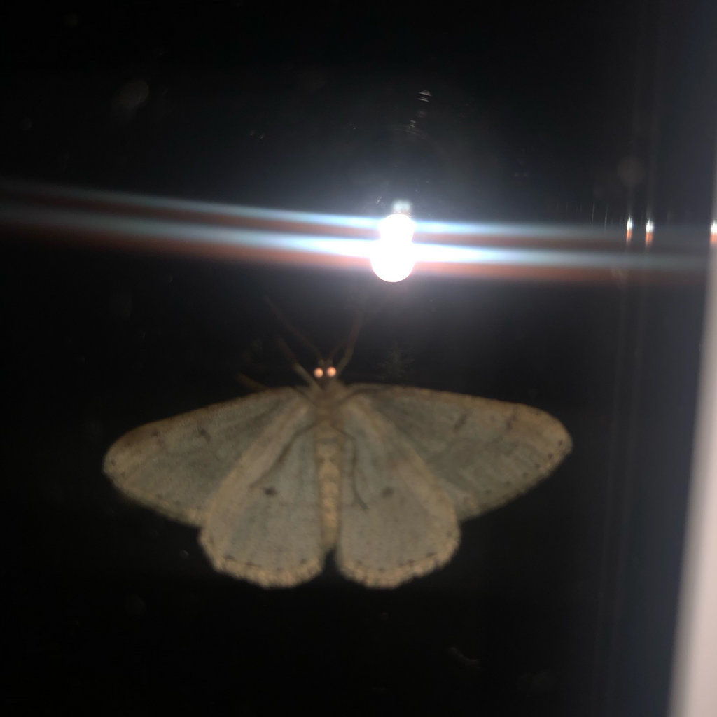 windows11's collection | Bandcamp