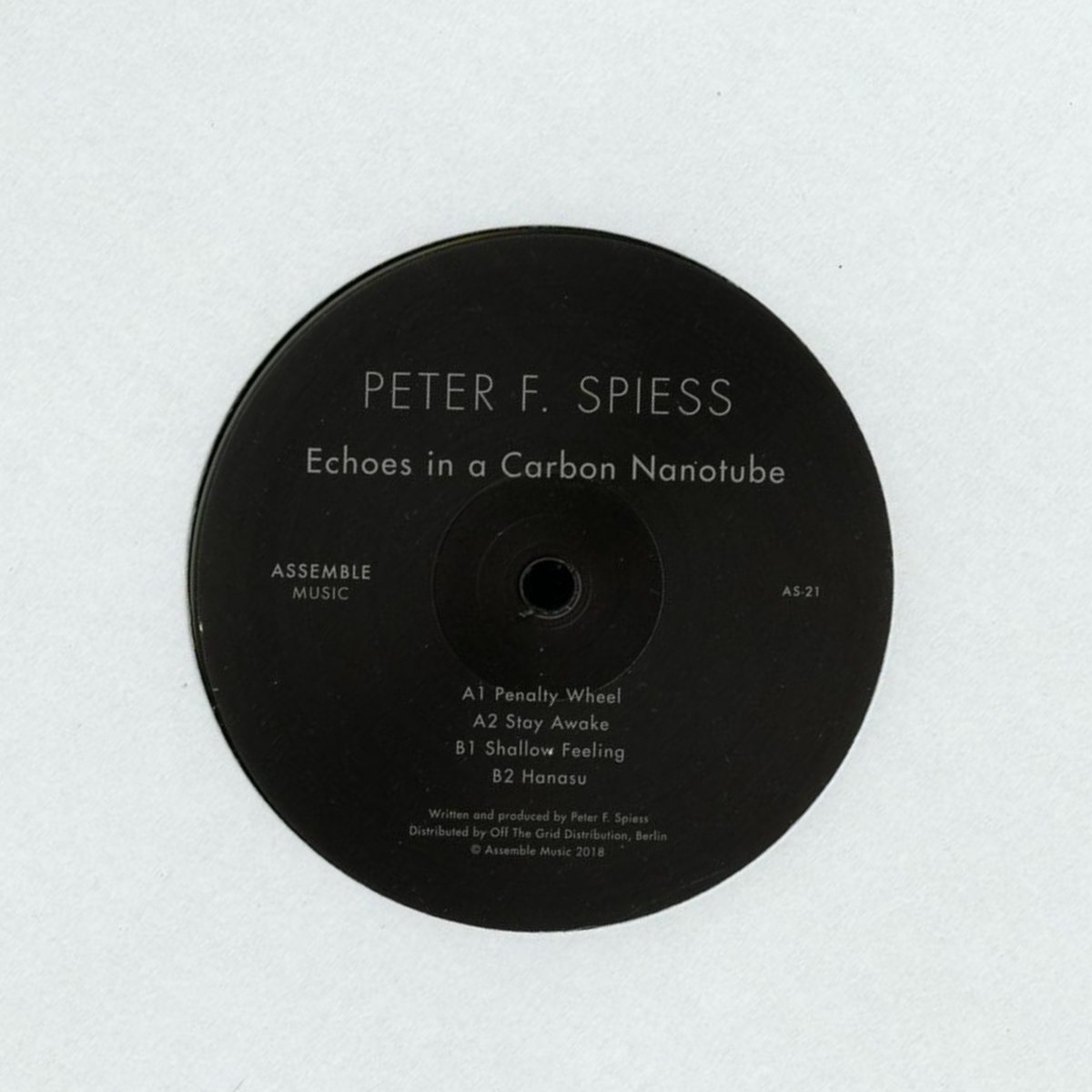 Echoes In A Carbon Nanotube | Peter F. Spiess