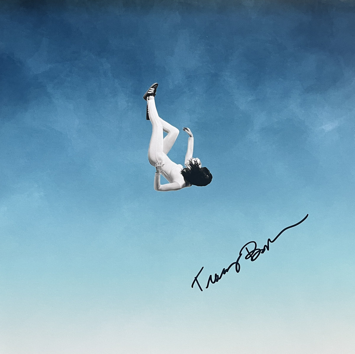 Sky Too Wide | Tracy Bonham