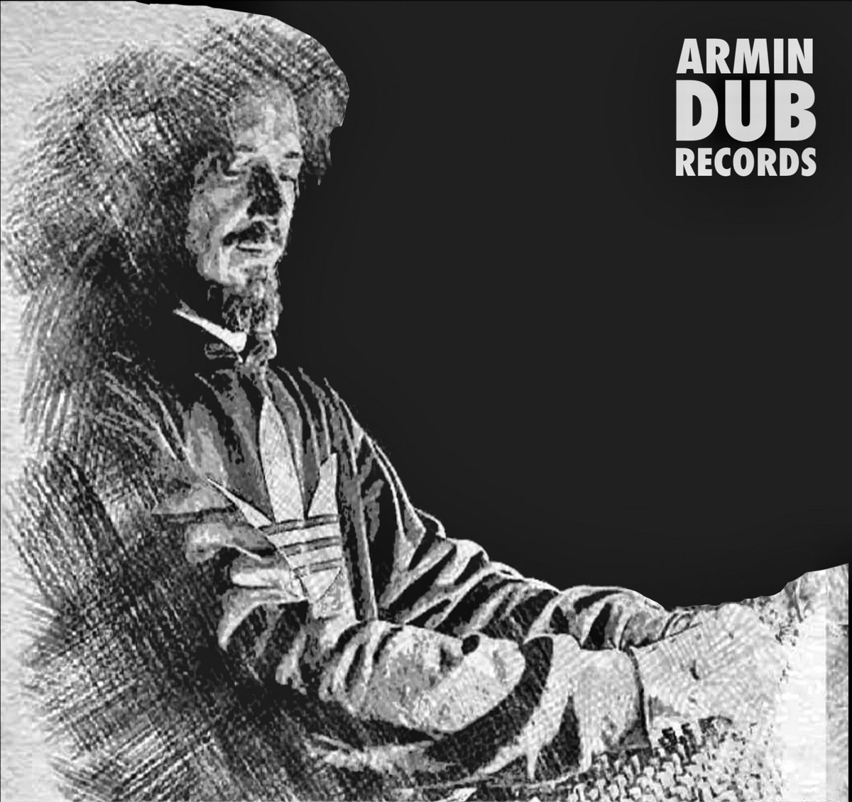 Armin Meets Vibronics Armin