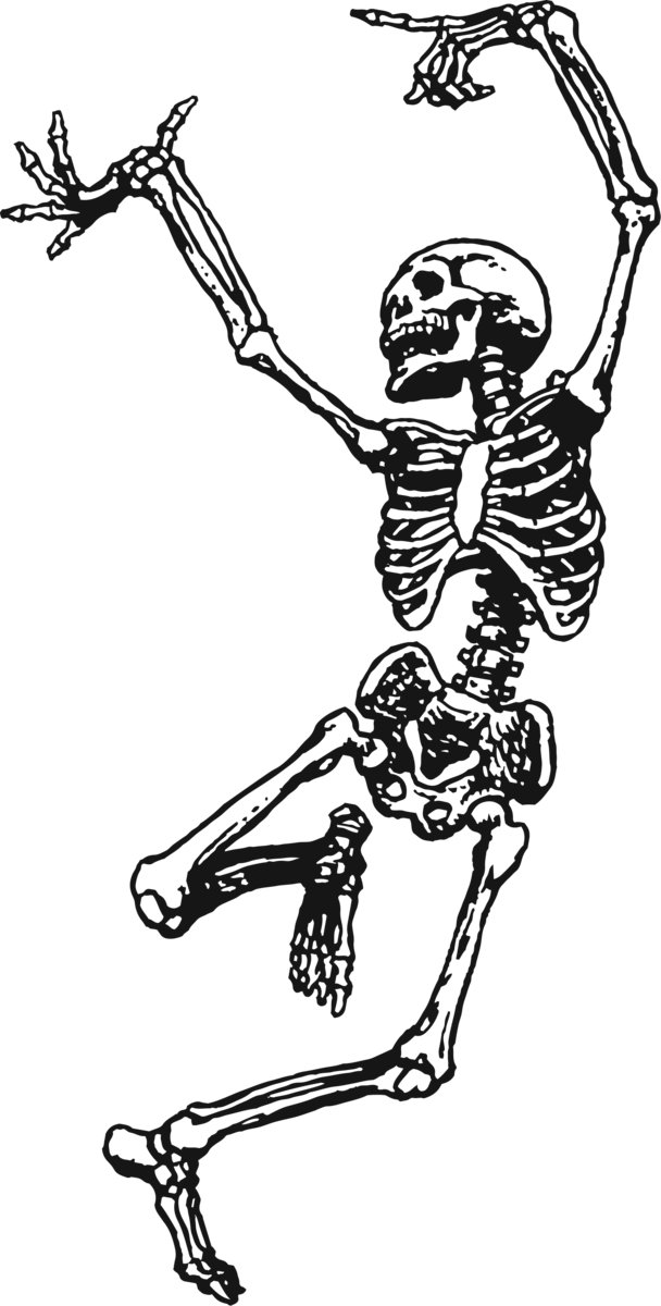 Black Bones - Black Bones Album Sampler | Black Bones