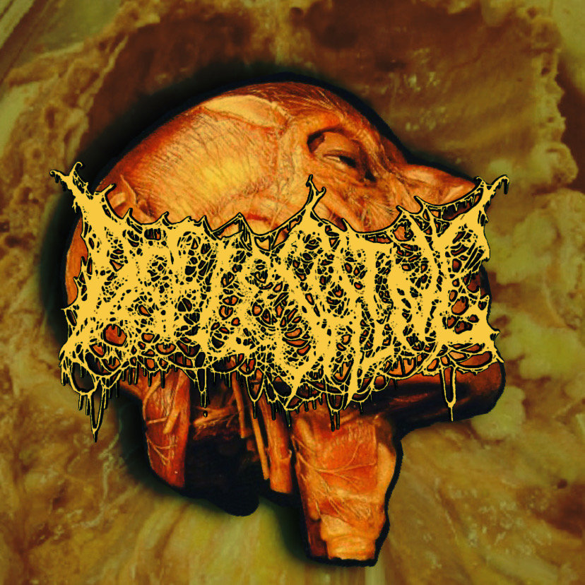 Split 2025 (Defleshing) | defleshing