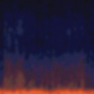 Music | Calvin Nelson