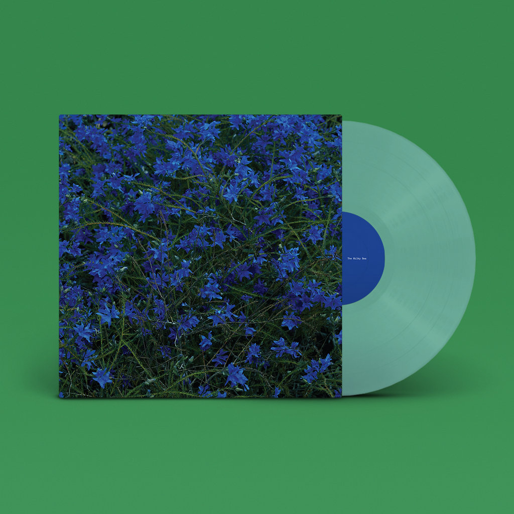 The Best Ambient Albums of 2025 | Bandcamp Daily