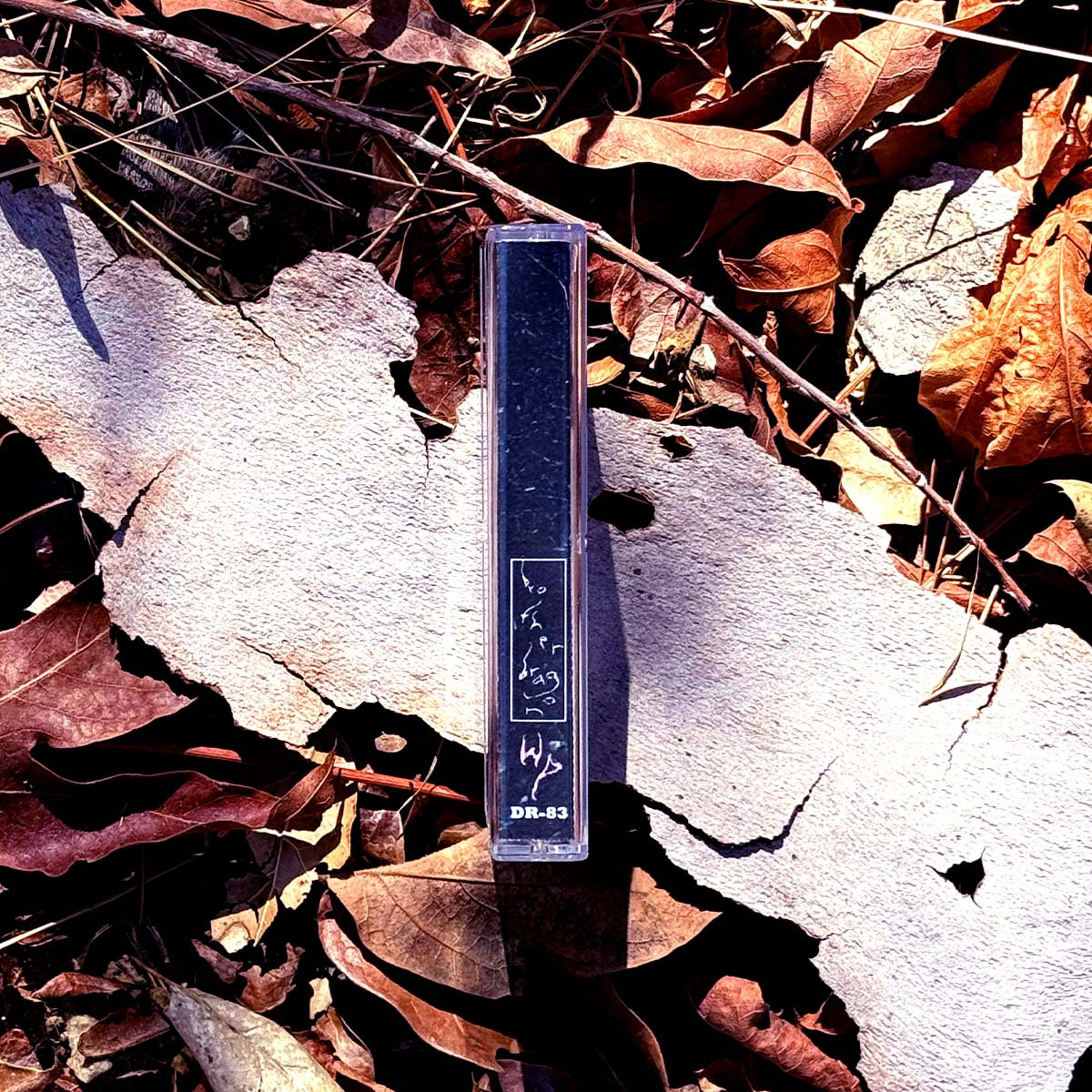 Wild Postures | Brother Dragon