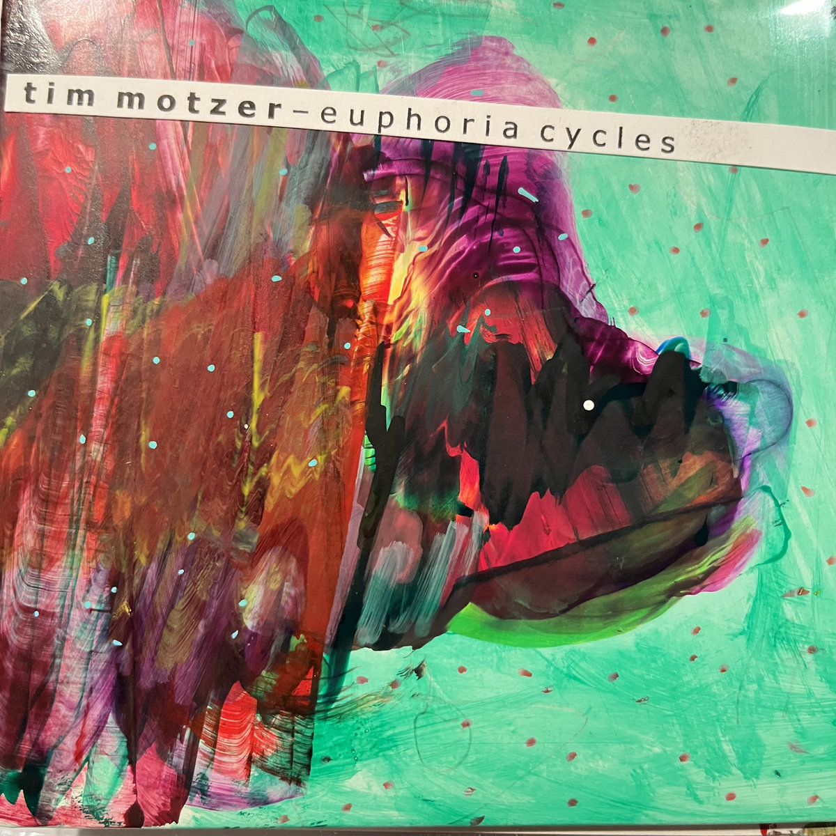 Euphoria Cycles | Tim Motzer | Tim Motzer / 1k Recordings