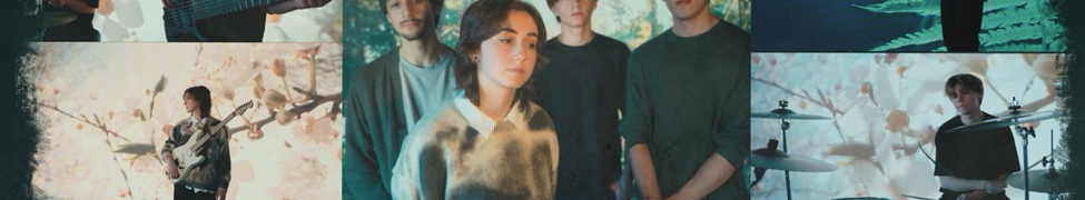 Music | Stereosity