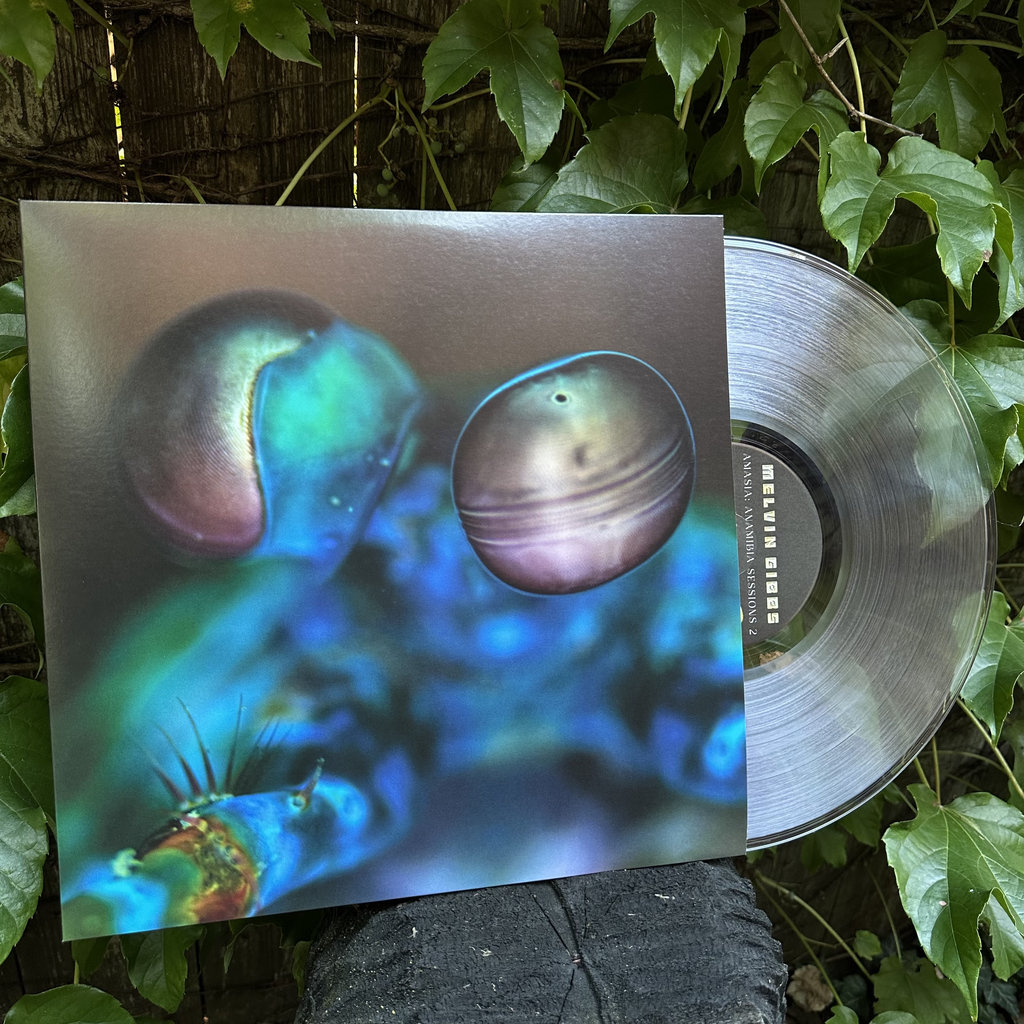 Melvin Gibbs, “Amasia: Anamibia Sessions 2” | Bandcamp Daily