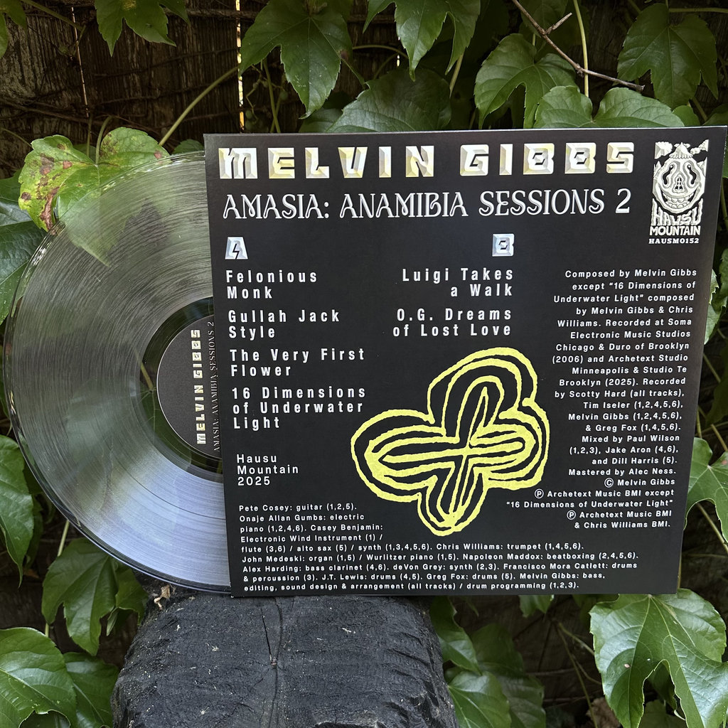 Melvin Gibbs, “Amasia: Anamibia Sessions 2” | Bandcamp Daily