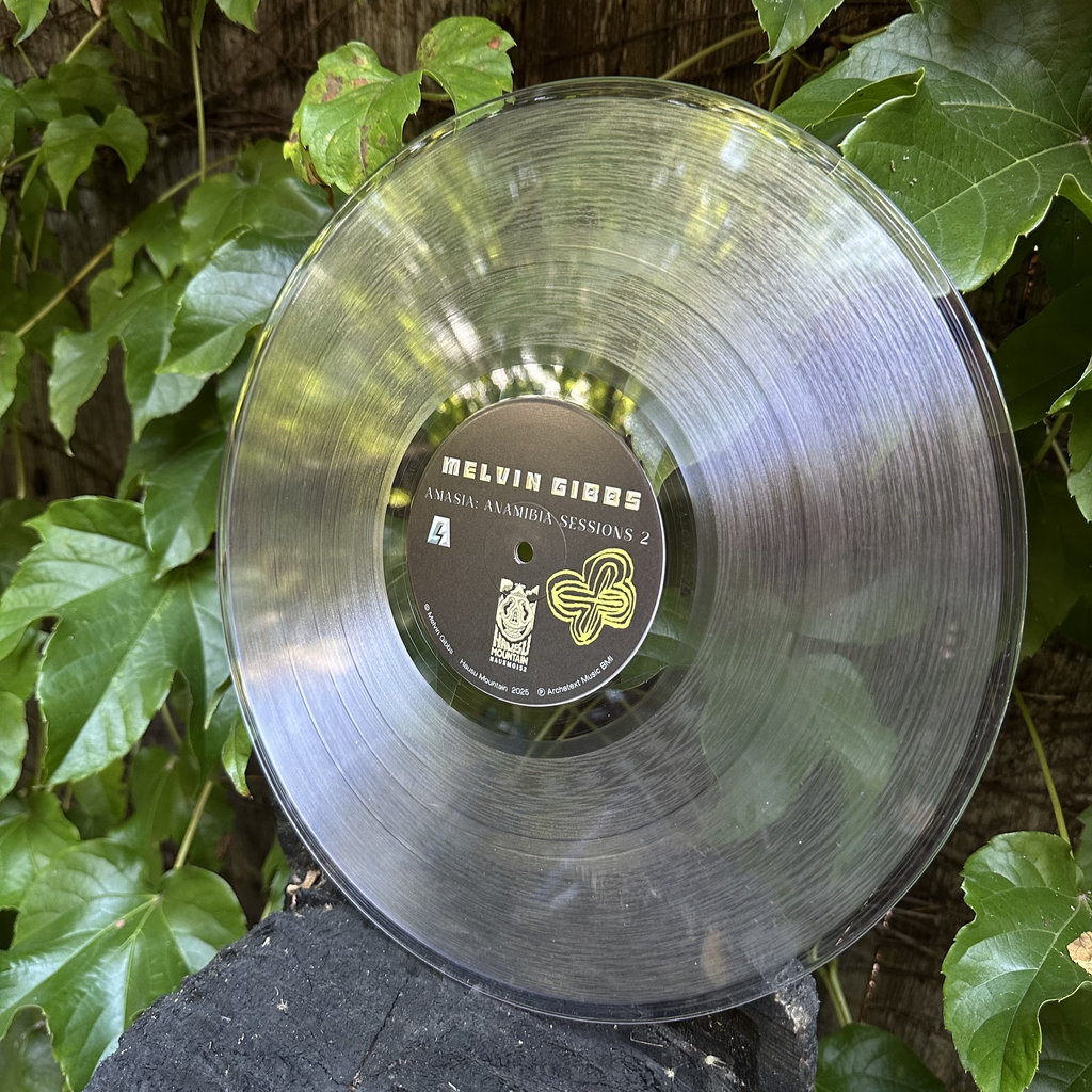 Melvin Gibbs, “Amasia: Anamibia Sessions 2” | Bandcamp Daily