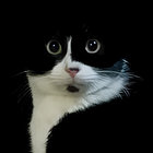 No Man's Sky: Music For An Infinite Universe (Original Soundtrack ...